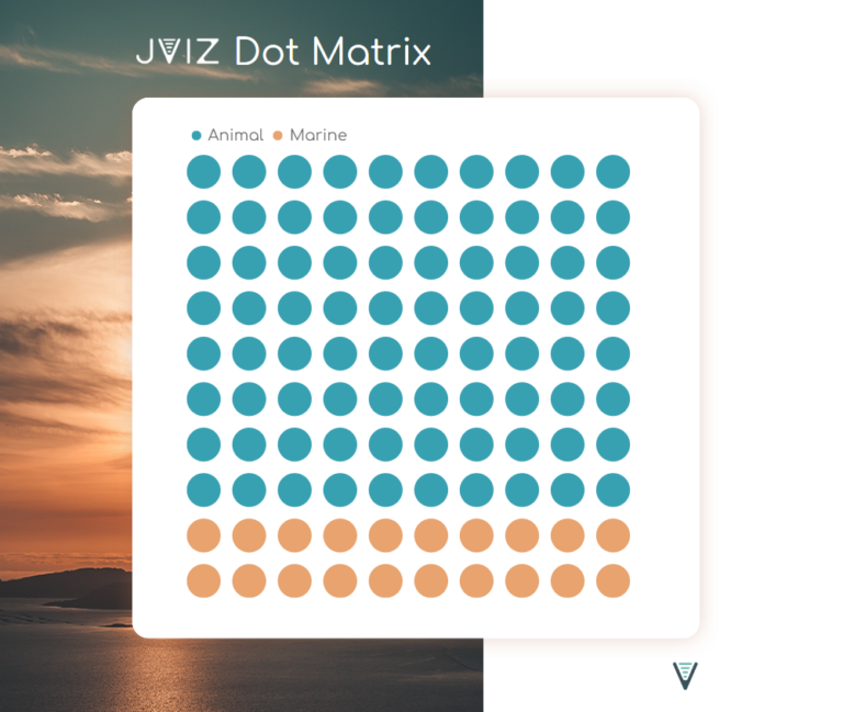JVIZ Dot Matrix - JINETT